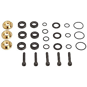 Briggs & Stratton Pressure Washer Seal Kit Set 190595GS