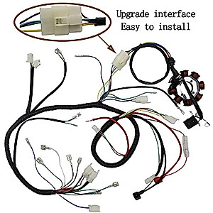 Complete Electrics Wiring Harness Stator Coil CDI Solenoid Relay Spark Plug Tail Light for 4 Wheelers Stroke ATV （150cc 200cc 250cc 300cc） Pit Dirt Bike Go Kart Zongshen Lifan by OTOHANS AUTOMOTIVE