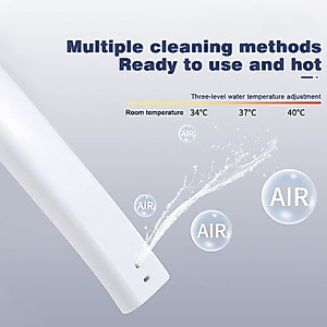 Smart Bidet Toilet Elongated One Piece Modern Design, Automatic Flushing, Heated Seat with Integrated Multi Function, Remote Control