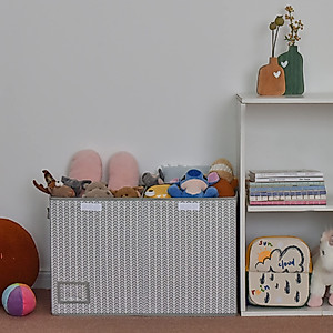 GRANNY SAYS Bundle of 1-Pack Extra Large Storage Bins & 1-Pack Jumbo Storage Boxes with Lids