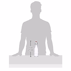 Bormioli Rocco Giara Collection - Bottle - 0.5 Liter (16.9-Ounce) - Clear