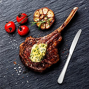 Drun 9-Piece Dinner Knives Set, Stainless Steel Silverware Set, Mirror Polished Kitchen Utensil Use for Home, Kitchen or Restaurant, Flatware Cutlery Dishwasher Safe (Silver 9 Inch)