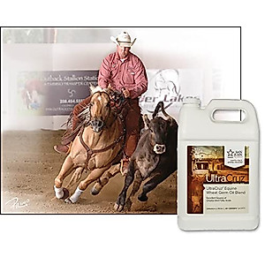 UltraCruz Wheat Germ Oil Blend Supplement for Horses and Livestock, 1 Gallon (125 Day Supply)
