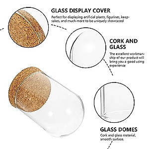 GANAZONO 2Sets Glass Display Dome Cloche Tabletop Display Case with Cork Base DIY Snow Globe for Office Home Halloween Christmas Wedding Tabletop Centerpiece Decoration