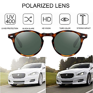 EyeGlow Retro Sunglasses Women Round Small Sunglasses Men Sunglasses for Women Polarized Lens Acetate Material Tortoise Color Green Lens