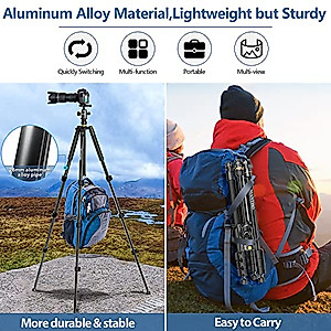 77” DSLR Camera Tripod for Travel - NIANYISO Compact Tripod for Camera, Professional Tripod with 36mm 360 Degree Ball Head, Lightweight Aluminum Camera Tripods & Monopods Load up to 33 lbs