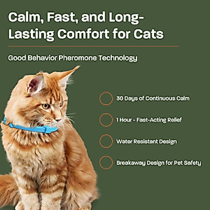 2 Pack Calming Collar for Cats - Calming Cat Collar, Cat Pheromone Collar, Cat Calming Collar for Anxiety - Efficient Relieve Reduce Stress Relief for Cats, Ideal for Meowing and Anxiety Reduction