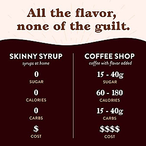 Jordan's Skinny Syrups Sugar Free Coffee Syrup, Mocha Flavor Drink Mix, Zero Calorie Flavoring for Chai Latte, Protein Shake, Food & More, Gluten Free, Keto Friendly, 25.4 Fl Oz, 2 Pack