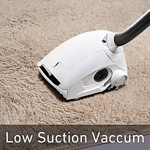 CRUGZ Pure Beige Area Rug 5x7 Feet, Ultra Soft Tan Rugs for Living Room Decor, Shaggy Fluffy Camel Taupe Rug for Bedroom, Nursery Home Decor 60x84 Inch Beige Alfombras para Salas (5'x7' Beige/Tan)