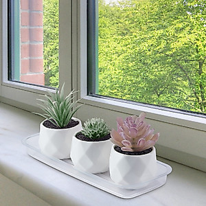 Idyllize Rectangular 5 Pieces of 15 by 6 Inch Clear Thick Plastic Heavy Duty Sturdy Plant Saucer Drip Trays for pots, Window Sills and Window Shelf (15"x6")