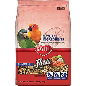Kaytee Fiesta with Natural Colors Conure/Lovebird Food, 4.5 lbs.