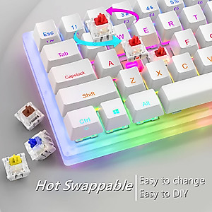 Womier K66 60% Percent Mechanical Keyboard, Hot Swappable Wired RGB Backlit Keyboard, Gateron Switch Acrylic Gaming Keyboard for PC PS4 Xbox, Red Switches