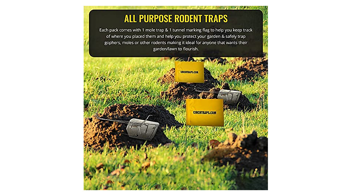 Cinch Mole Trap with Tunnel Marking Flag -Heavy-Duty, Reusable Trapping ...