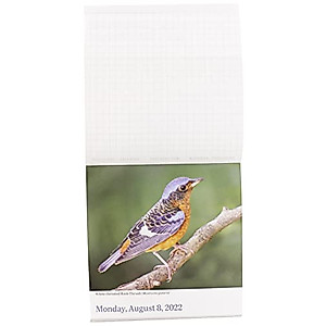 Audubon Birds Page-A-Day Calendar 2022