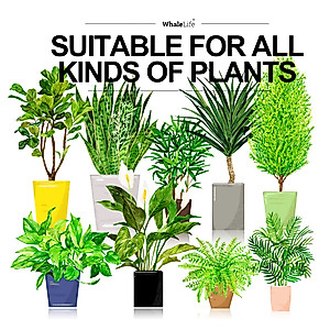 WhaleLife Indoor Watering Can for House Bonsai Plants (2.0L, Terra-Cotta Red)