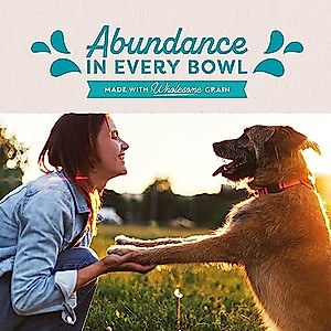 Natural Balance Original Ultra Adult Wet Dog Food, Chicken Formula with Brown Rice, Carrots & Potatoes, 13 Ounce Can (Pack of 12)