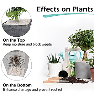 GASPRO 15 Pound Black River Rocks + 15 Pound White Pebbles, 1 to 2 Inch Black Pebbles, 3/8 Inch White Average-Sized Polished Pebble for Plants, Vase, Fish Tank, Garden