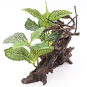 HRRIVE Reptile Rain Forest Ground Plants Decorations for Lizard Snake Bearded Dragon Crested Gecko Amphibian and Terrarium Habitat Decor