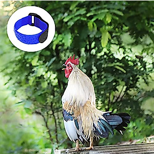 Tkocisa 8 Pack No Crow Rooster Collars, Chicken Collar Anti-Hook Noise Free Neckband No Crow Noise Neck Belt for Roosters - Prevent Chickens from Screaming, Disturbing Neighbors