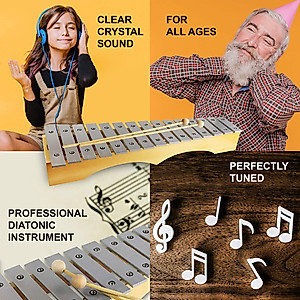 inTemenos Professional Diatonic Glockenspiel 15 notes - Metal Xylophone - 23 Sheet Music Songs, Stickers