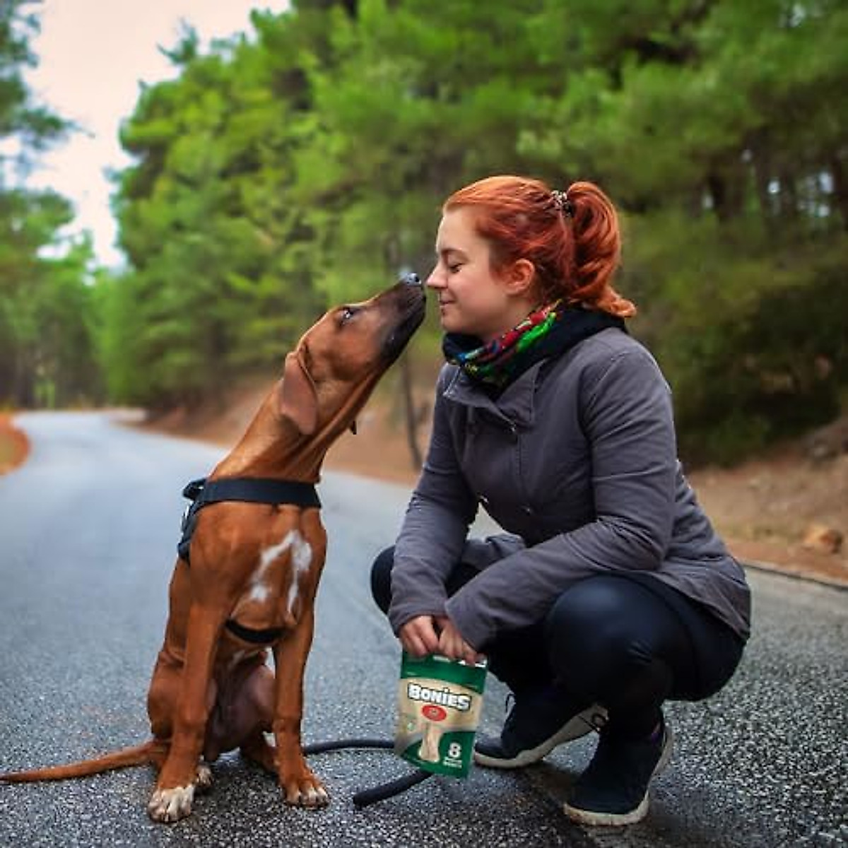 Bonies Hip and Joint Formula Treats for Dogs, Glucosamine and Omega Fatty Acids, Fresh Breath, Clean Teeth, Low Calories, Chicken Flavor, Mini, 20 Bones