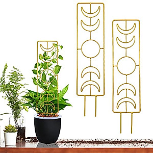 2 Pack Large Moon Phase Plant Trellis, 17.32 Inches Gold Metal Plant Trellis for Garden Indoor Climbing Plants, Climbing Plant Support for Potted Plants Houseplant Monstera Plant Ivy Vine