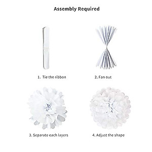 ANSOMO White Tissue Paper Pom Poms Flowers Party Decorations 12" 10" 8" 6" Pack of 12