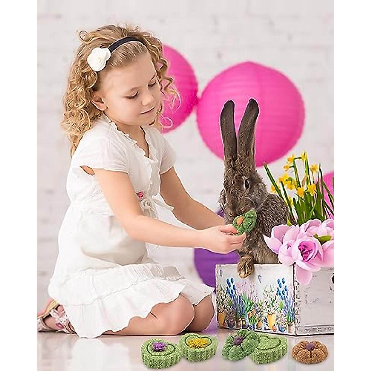 Sofier 14Pcs Timothy Hay Treats Rabbit Toys Bunny Toys Guinea Pig Toys Natural Chews for Teeth Handmade Rabbit Chews and Treats Chinchilla Rat Hamster Gerbil