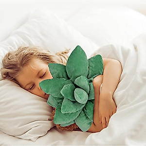 iBccly Succulent Pillow Plant Shaped Plush Toys Universal for Boys and Girls Cactus Kawaii Decorative Leaf Pillow Lovely Plant Plush Decoration (Dark Green)