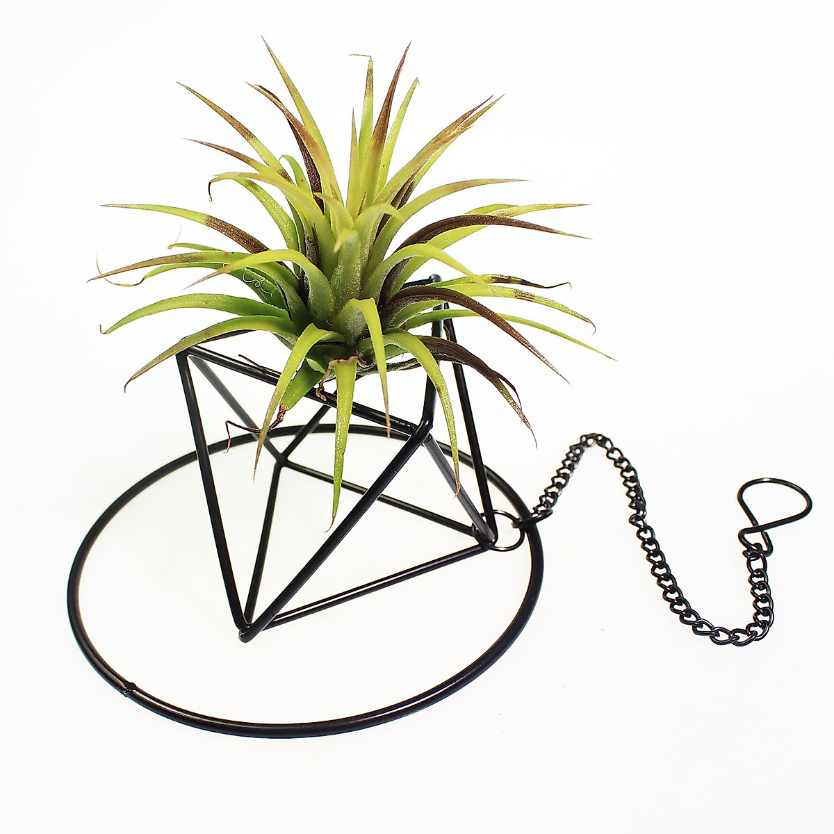 ZOOELAY Air Plant Hanging Holders Black Airplants Hanging Cage Sets Wall Air Planters Hanger 6 Geometric Airferns Indoor Display Frame