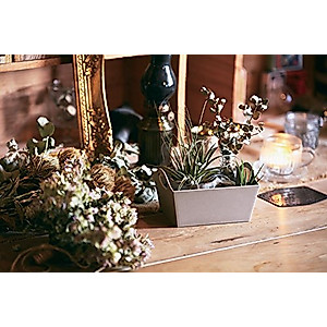 like-it EPE-23 Small Storage Mini Basket, Small, Set of 3, Paper Mix, Blue, Approx. Width 5.8 x Depth 4.4 x Height 3.2 inches (14.8 x 11.1 x 8.1 cm)