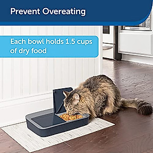 PetSafe Digital 2 Meal Programmable Pet Feeder, Automatic Dog and Cat Feeder - Dry or Semi-Moist Pet Food Dispenser, Slow Feed Portion Control (3 Cup/16 Ounce), Tamper-Resistant, Dishwasher Safe