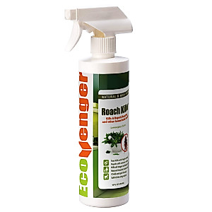EcoRaider Roach Killer and Repellent (16oz), Fast Kill & Lasting Repellency, Green & Non-Toxic