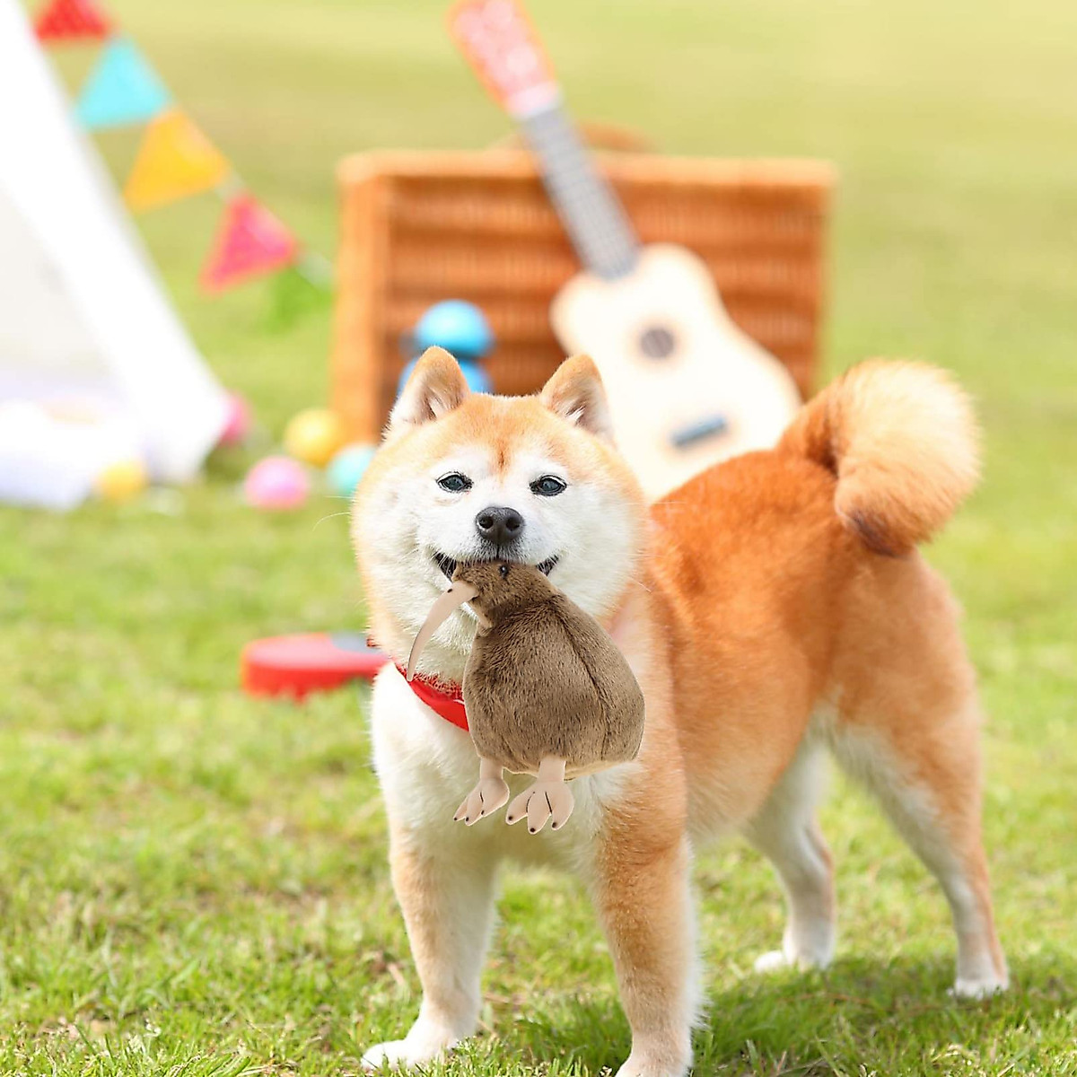 Kiwi Bird Stuffed Plush Toy: Kiwi Bird Plush Stuffed Doll Soft Furry Stuffed Animal Toys for Pets Dogs Puppy 12cm