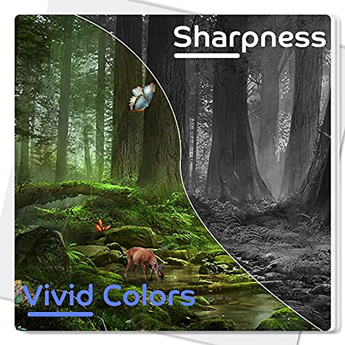 BJ Ink Cartridge Replacement for Canon PG-245XL CL-246XL Ink Cartridge Compatible with PIXMA MG2520 MG2522 MG2920 MG2922 MG2924 MG2420 MX490 MX492 IP2820 Printer(2 Black,1 Tri-Color)