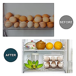 MesRosa Egg Holder , Automatically Rolling Egg Storage Container for Refrigerator,Large Capacity Organizer for Fridge with Lid,Clear Plastic Egg Dispenser, Tray & Bin -2 Layer