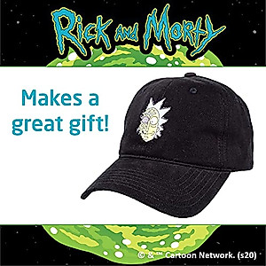 Concept One Warner Bros Rick and Morty Dad Hat, Fly Design Cotton Adjustable Adult Baseball Cap with Curved Brim, Black, One Size