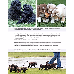 The New Complete Dog Book, 22nd Edition: Official Breed Standards and Profiles for Over 200 Breeds (CompanionHouse Books) American Kennel Club's Bible of Dogs: 920 Pages, 7 Variety Groups, 800 Photos