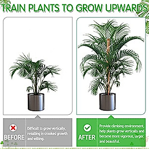 ROADPLUM 2 Pack 43.3" Moss Pole Coco Coir Poles, Bendable Plant Stakes Moss Pole for Plant Monstera with Twist Ties Plant Ties Labels Jute Rope, Plant Sticks Support for Climbing Plants Growth Indoor