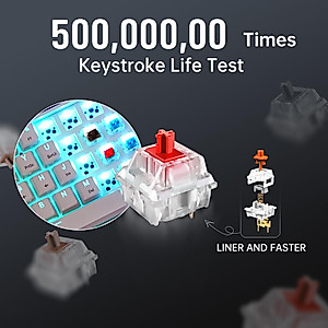 targeal 60% Mechanical Gaming Keyboard - 61 Keys Gateron Red Switch Quiet Office Computer Keyboard - Multi Color RGB Rainbow Led Backlit - Programmable for PC/Windows/Mac/Gamer - USB Wired - White