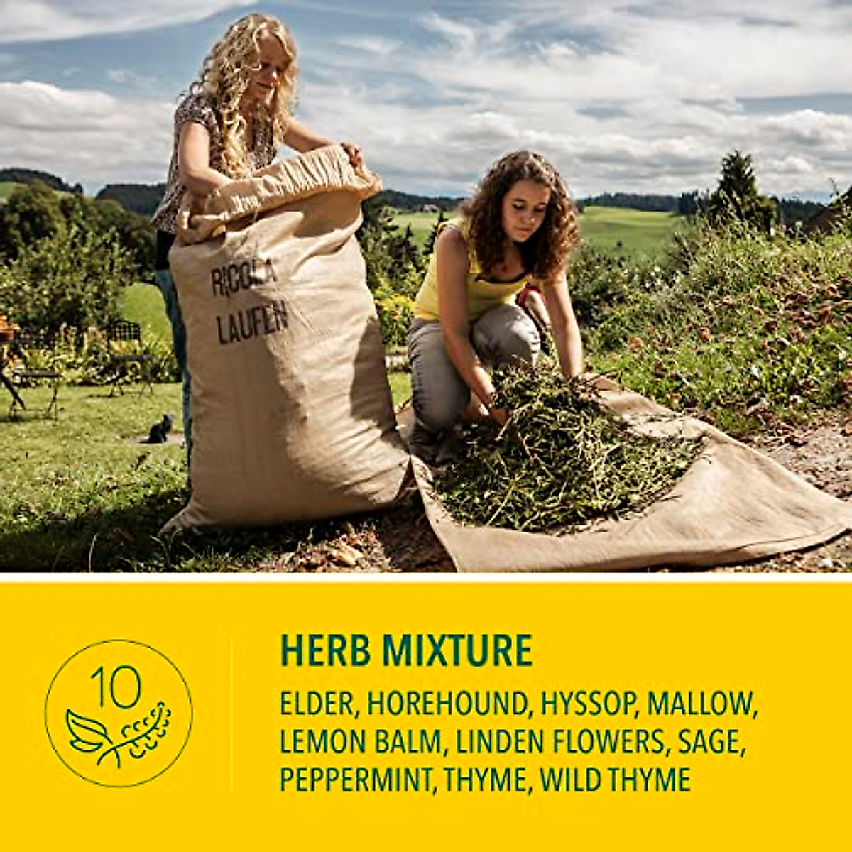 Ricola Sugar Free Original Natural Herb Cough Drops, 19 Count, Cough Suppressant & Throat Relieving Drops with Naturally Sourced Menthol, Pleasing Taste for Coughs & Throat Irritation Symptom Relief