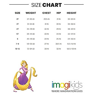 Disney Princess Raya and the Last Dragon Sisu Toddler Girls T-Shirt and French TerryShorts Outfit Set 4T