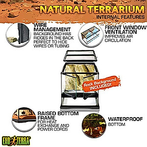 Exo Terra Glass Terrarium Kit, for Reptiles and Amphibians, Mini Wide, 12 x 12 x 12 Inches, PT2600A1