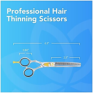 Equinox International, Professional Hair Scissors, Japanese Stainless Steel-Barber Hair Cutting Texturizing Thinning Razor Edge Series Teeth Shears for Men/Women/Kids/Salon & Home-6.5" Overall Length