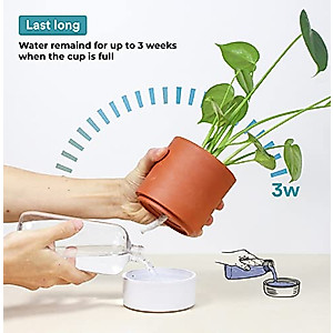 6 inch Self Watering Terracotta Pot with hydrophilic Wick and White Glazed Water Saucer for Indoor Plants, Clay Planter for Orchid, Herbs, and Flowers, Decorative Kitchen Windowsill, home decor
