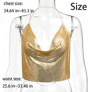Fairyu Boho Sequins Body Chain Bra Bikini Shimmer Backless Halter Crop Top Beach Body Jewelry Accessory for Women and Girls (Gold)