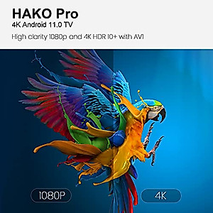 Google Certified Android 11.0 TV Box 4GB RAM 64GB ROM, Netflix 4K, Prime Video 4K, YouTube 4K, Disney+ 4K, 2.4G/5G WiFi, BT5.0, IR Remote Control, Media Player, Chromecast