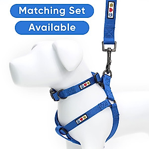 Pawtitas Dog Collar for Extra Small Dogs Adjustable Dog Collar Heavy Duty Waterproof Collars for Dogs with Quick-release Buckle - Blue Dog Collar for Extra Small Breeds