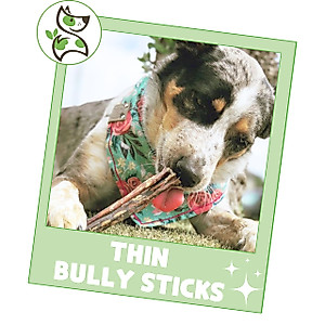 Nature Gnaws Thin Bully Sticks for Dogs 5-6" (1Lb) - Mixed Thickness - Long Lasting for Small Dogs and Puppies - Natural Thin Beef Dog Chew Bones - Rawhide Free