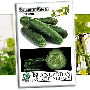 "Straight Eight" Cucumber Seeds for Planting, 150+ Heirloom Seeds Per Packet, (Isla's Garden Seeds), Non GMO Seeds, Botanical Name: Cucumis Sativis, 90% Germination Rate
